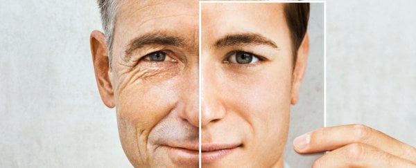 Aging Causes and Anti-Aging Solutions for Men – Arbor Mens